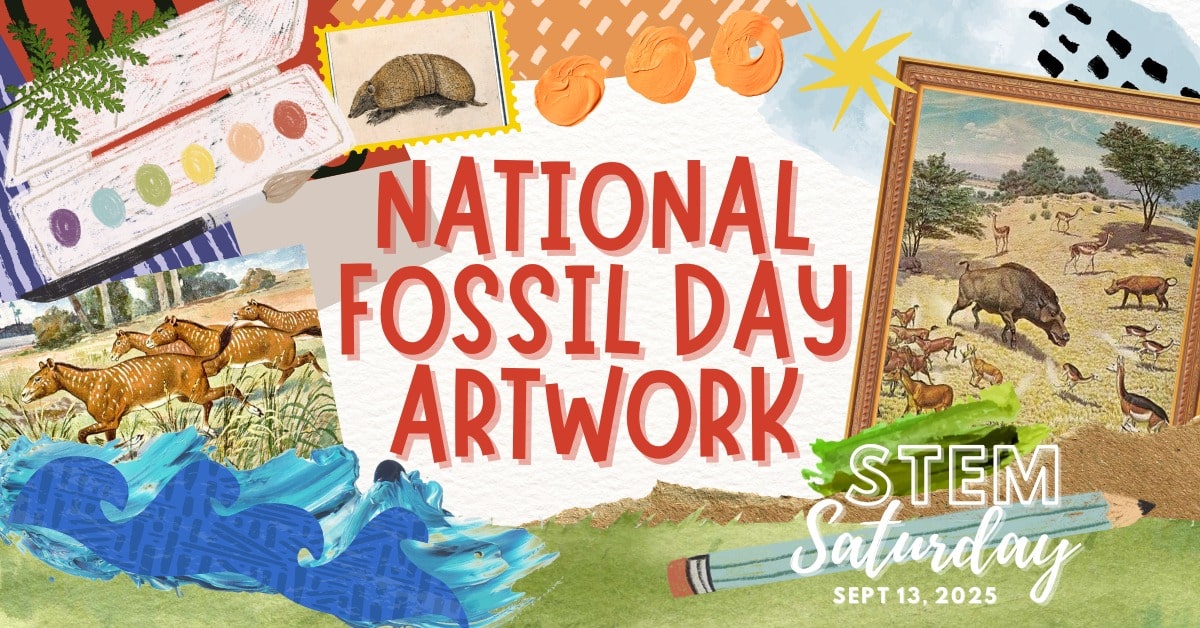STEM Saturday - Sept. 13 | University of Louisiana at Lafayette Science ...