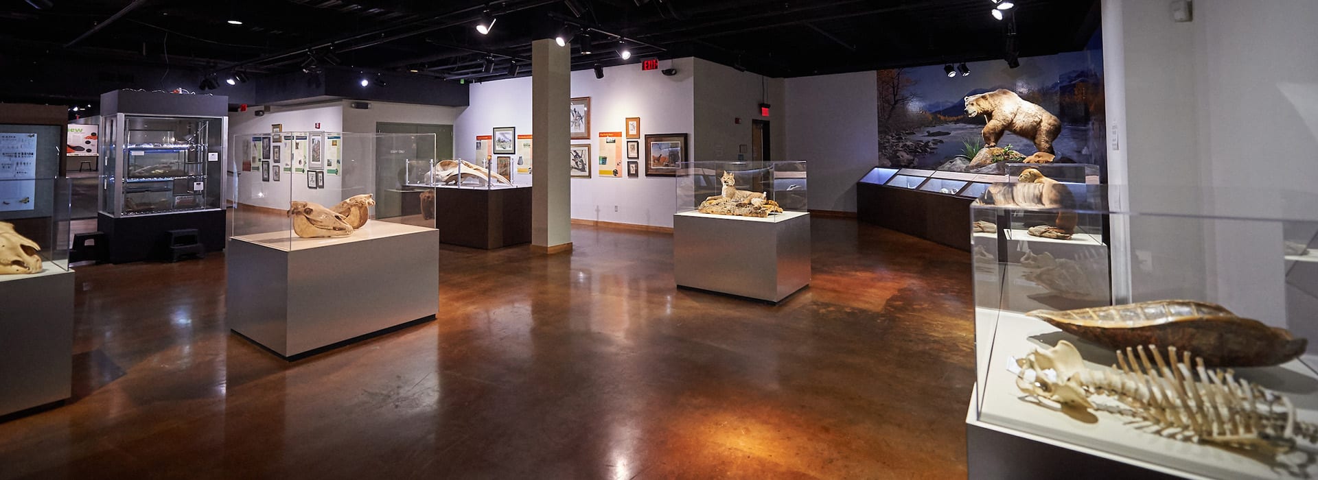 Support | University of Louisiana at Lafayette Science Museum